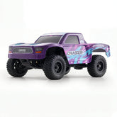 Micro/Mini RC Cars – RC Models Hub